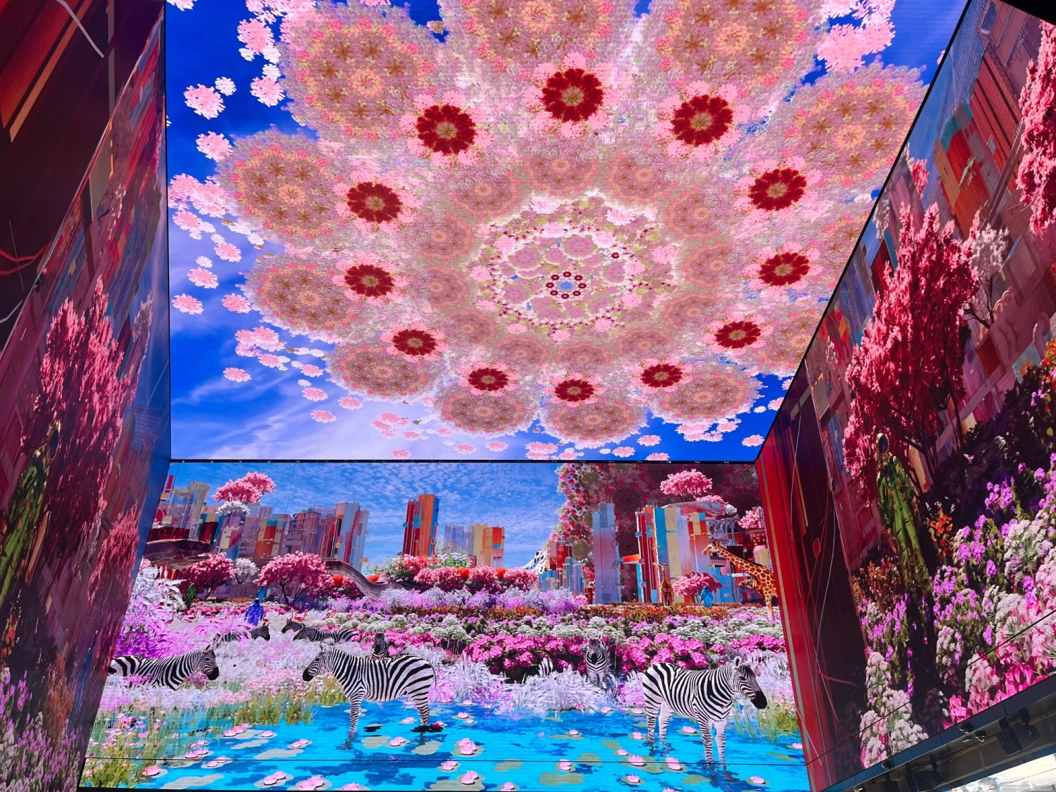 Media Cymru call for Wales’ boldest creatives to showcase immersive ...